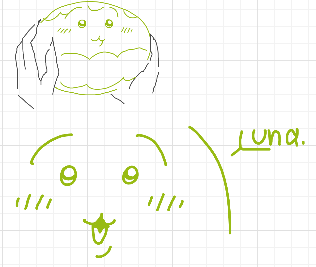 Post by @enn - Whiteboard Fox