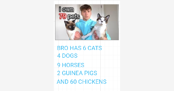 Post by @TheThaiMapper - Whiteboard Fox