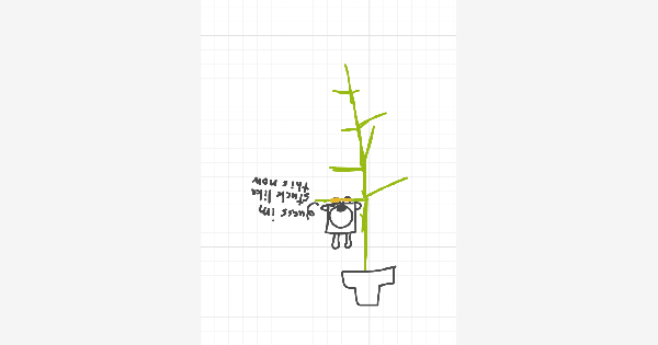 Snapshot Post - Whiteboard Fox