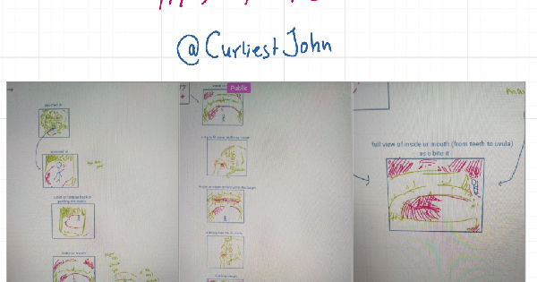 Post by @rinizz - Whiteboard Fox